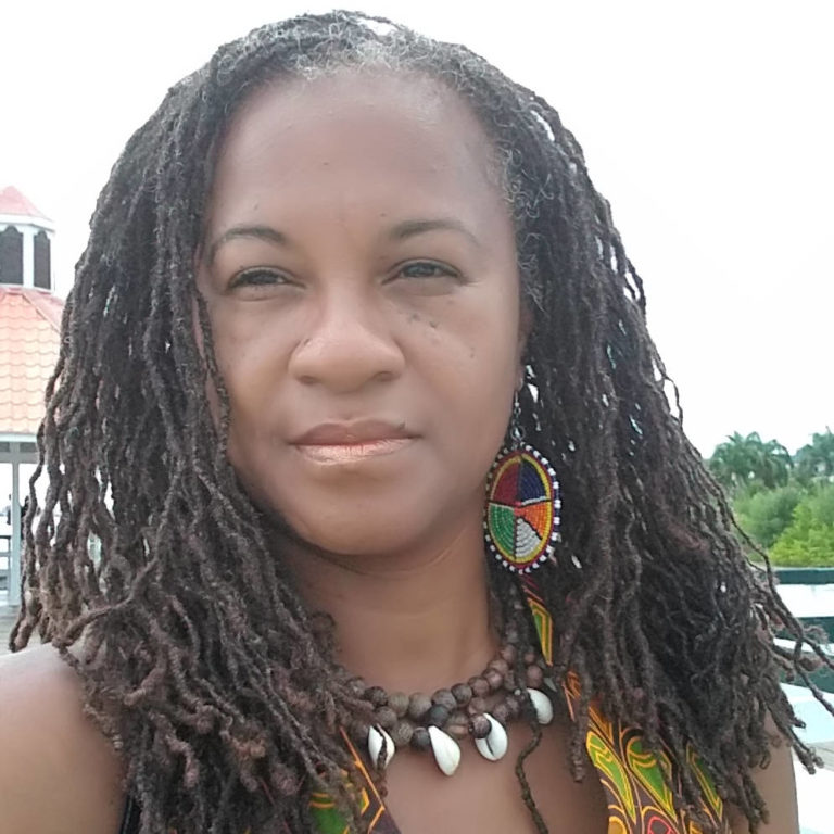 What 4 years of Braidlocs have taught me - Photos included